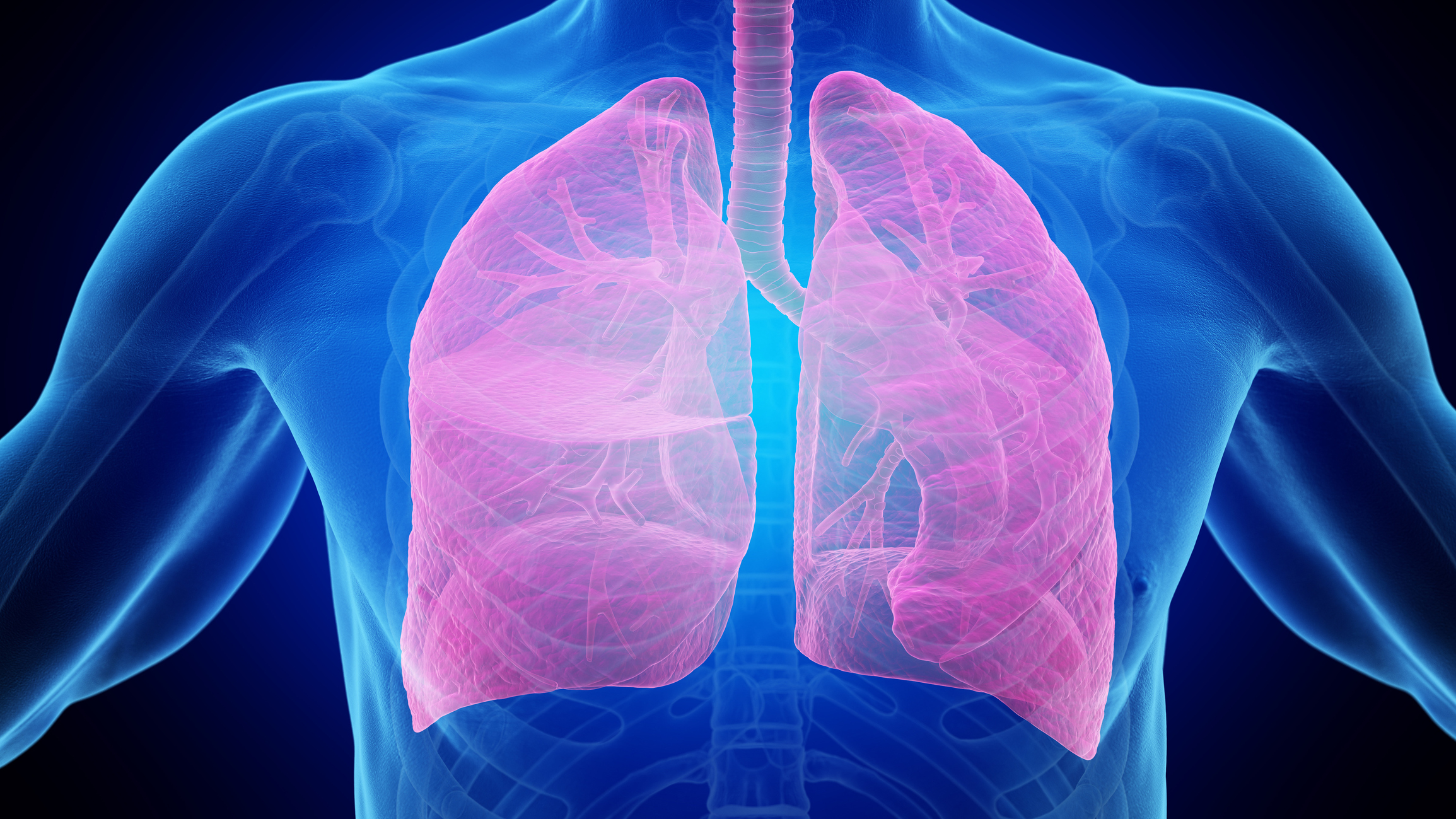 Do Microplastics Reach the Lungs? Evidence Explained